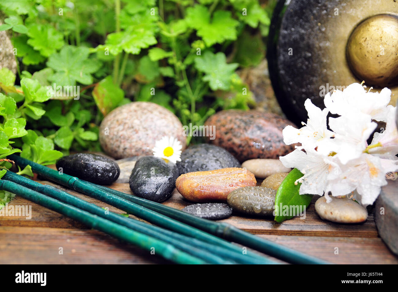 wellness gong nature stones sonorous green bloom blossom flourish ...