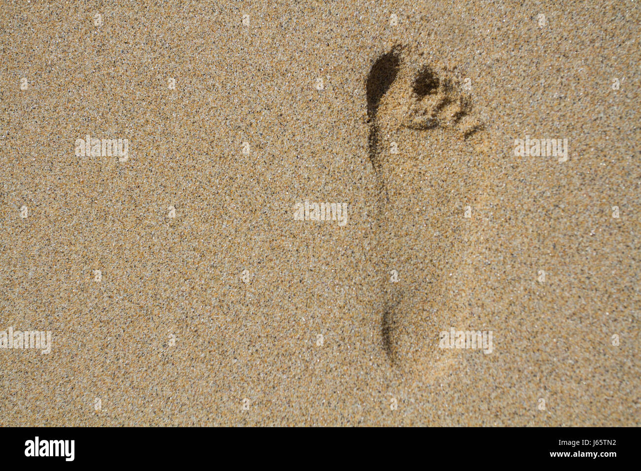 Human foot steps hi-res stock photography and images - Alamy