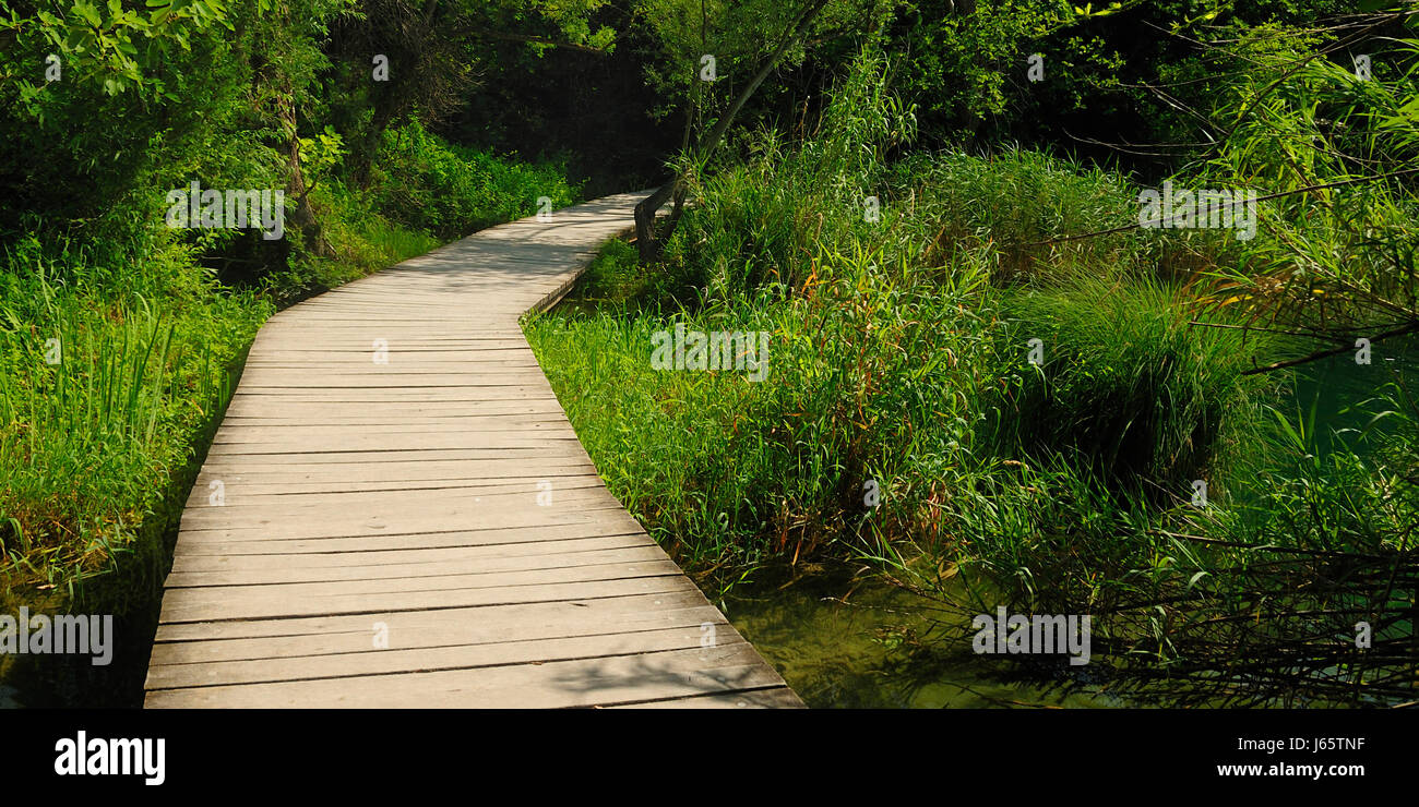 croatia boardwalk swamp hike go hiking ramble reed bridge shrub protect ...