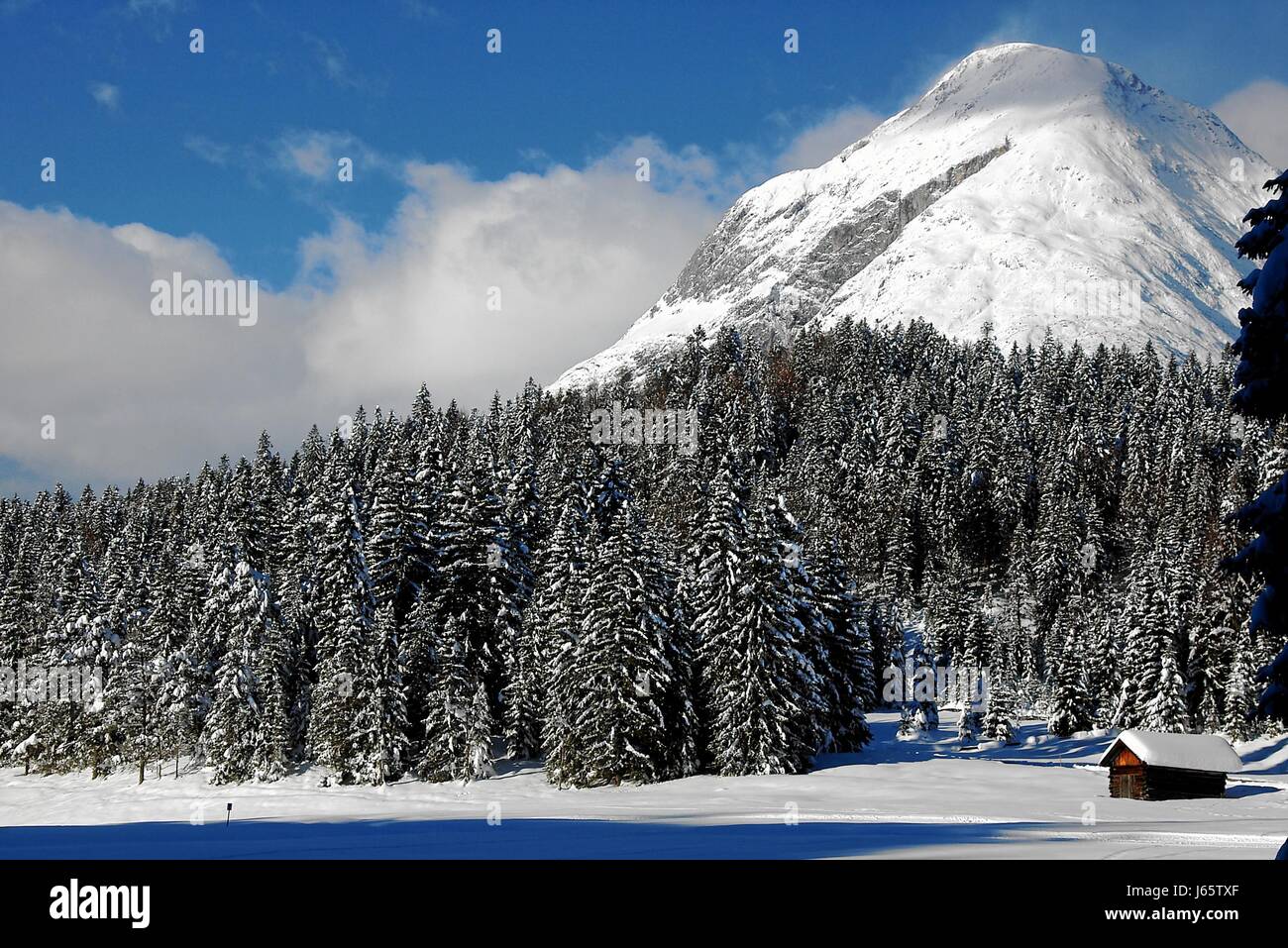 winter firs mountain scenery countryside nature lodge hut tree trees ...