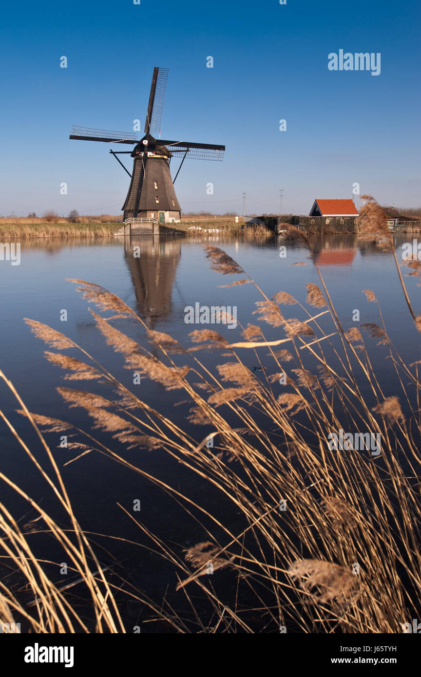 winter holland netherlands windmill dutch landscape scenery countryside ...