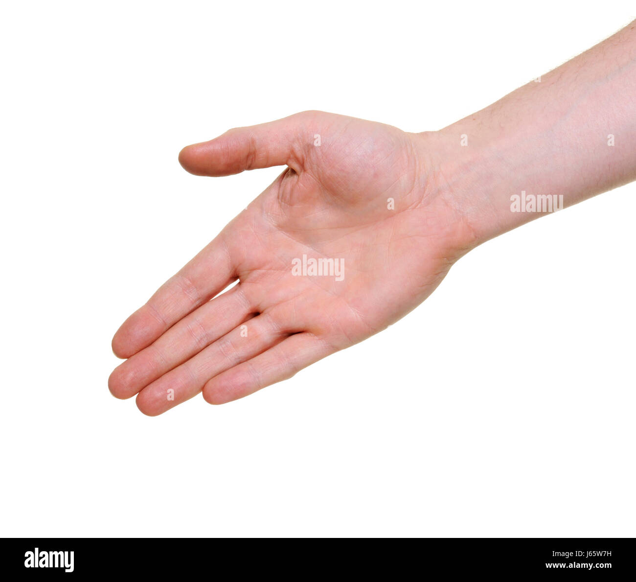 hand hands handshake palm shake welcome gesture men man hand hands ...
