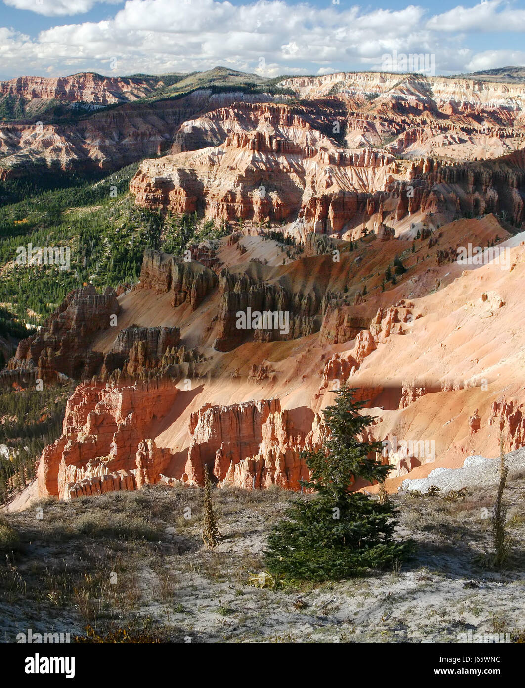 cedar breaks national monument Stock Photo - Alamy