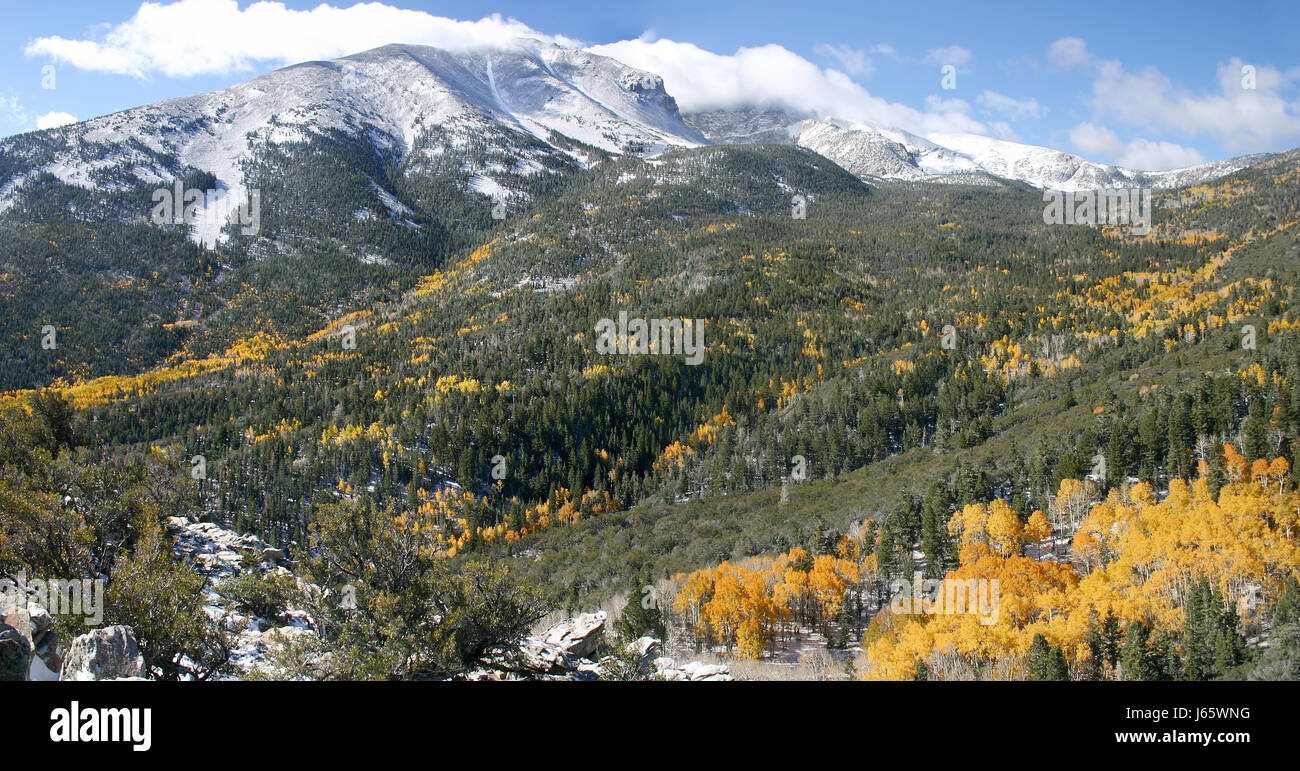mountains national park summit usa climax peak snow tree trees ...