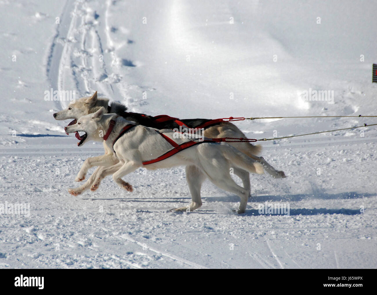 Velocity of electricity hi-res stock photography and images - Alamy