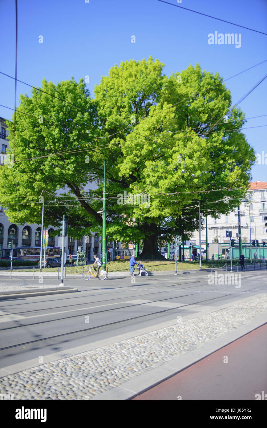 Italy Milan square square XXIV may red oak centenary Stock Photo - Alamy