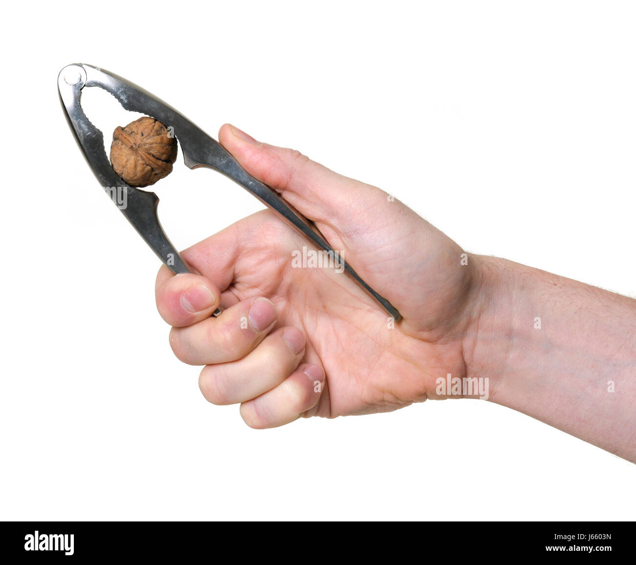 cracking walnut nutcracker hand close food aliment tool object closeup ...