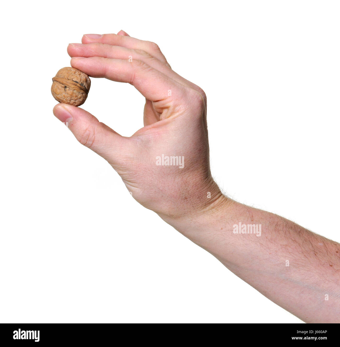 isolated walnut possession holding hand close food aliment finger macro ...