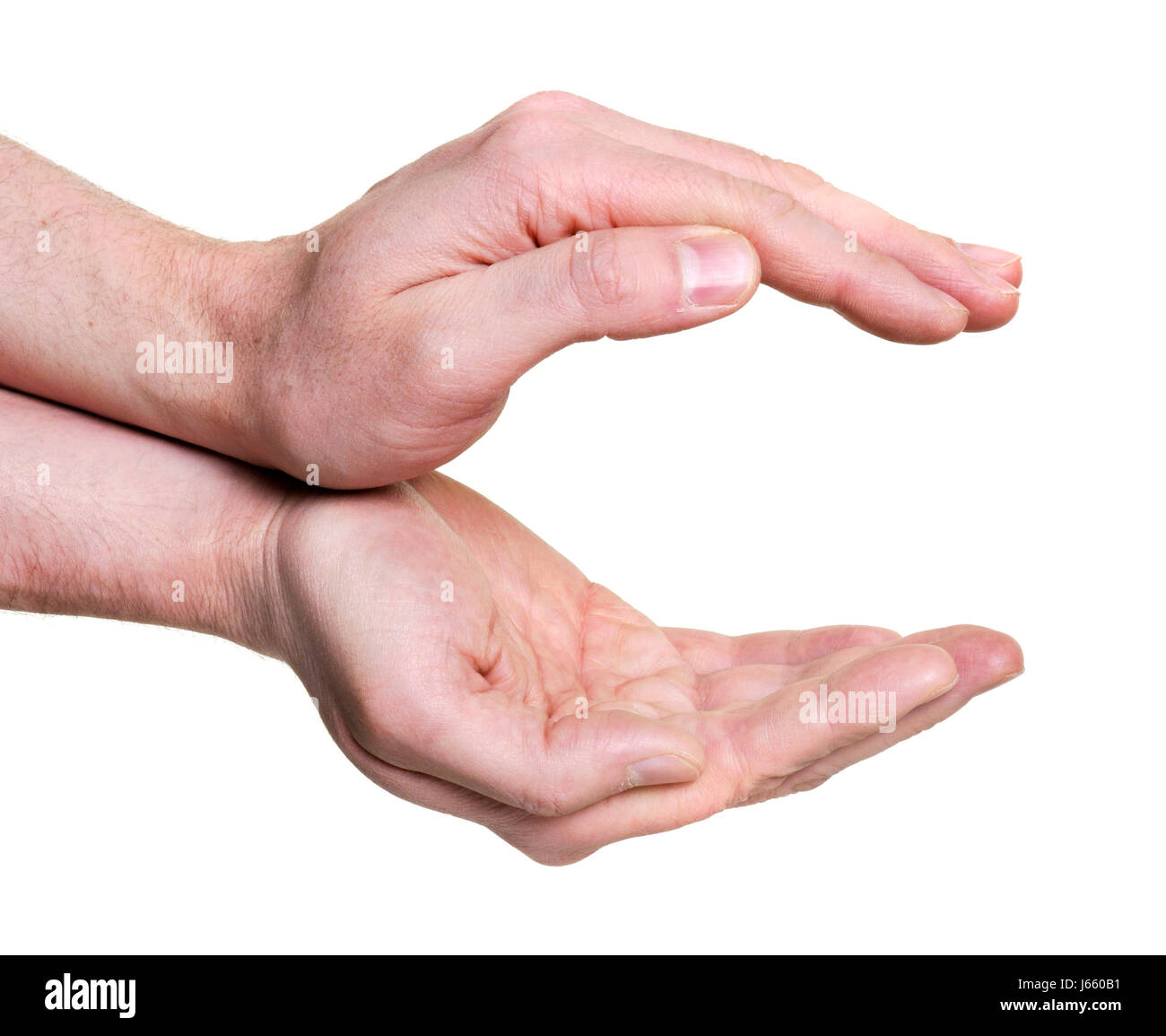 hand hands isolated couple pair humans human beings people folk persons ...