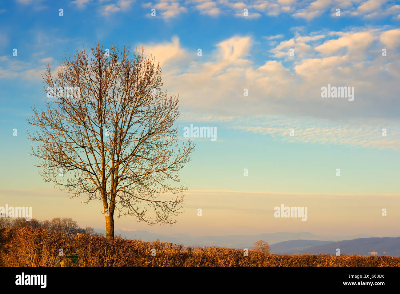 spring in sight Stock Photo - Alamy