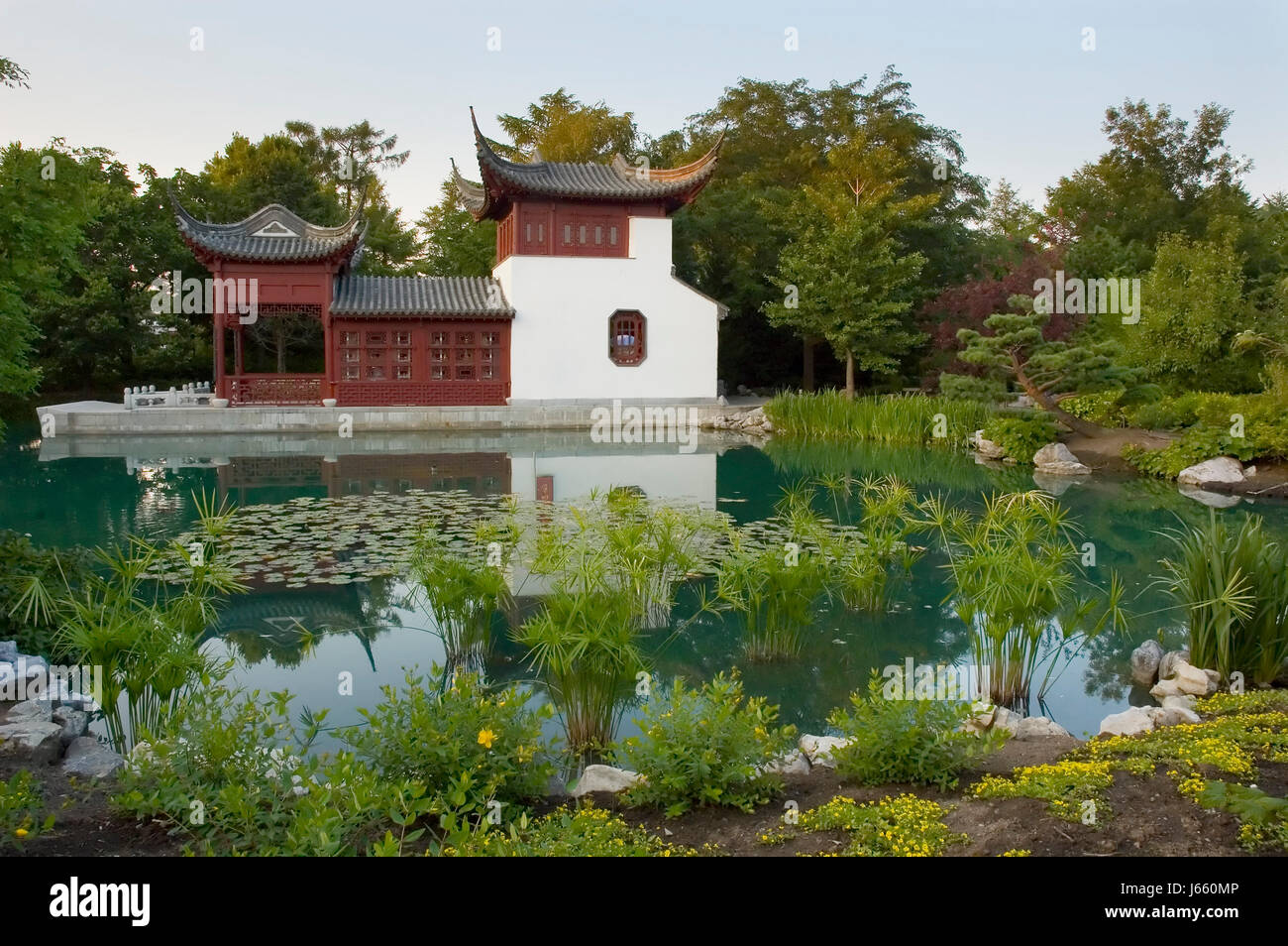 park garden museum china chinese tree garden flower plant flora summer ...