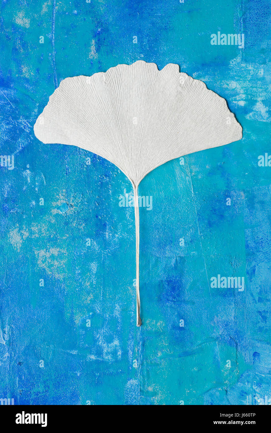 blue leaf pressed backdrop background white texture blue leaf pressed ...