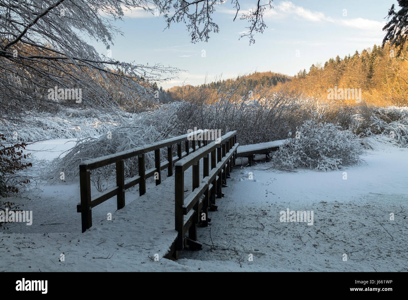 Small bridge in snowy winter forest Stock Photo - Alamy
