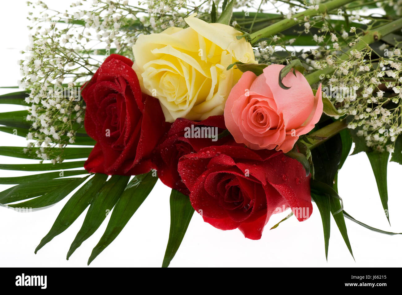 flower flowers plant roses bouquet flower plant roses gift bound tied ...