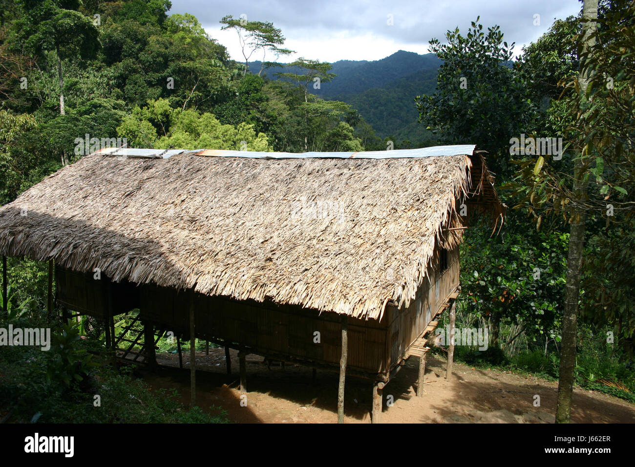 asia malaysia aborigine house building culture virgin forest jungle ...