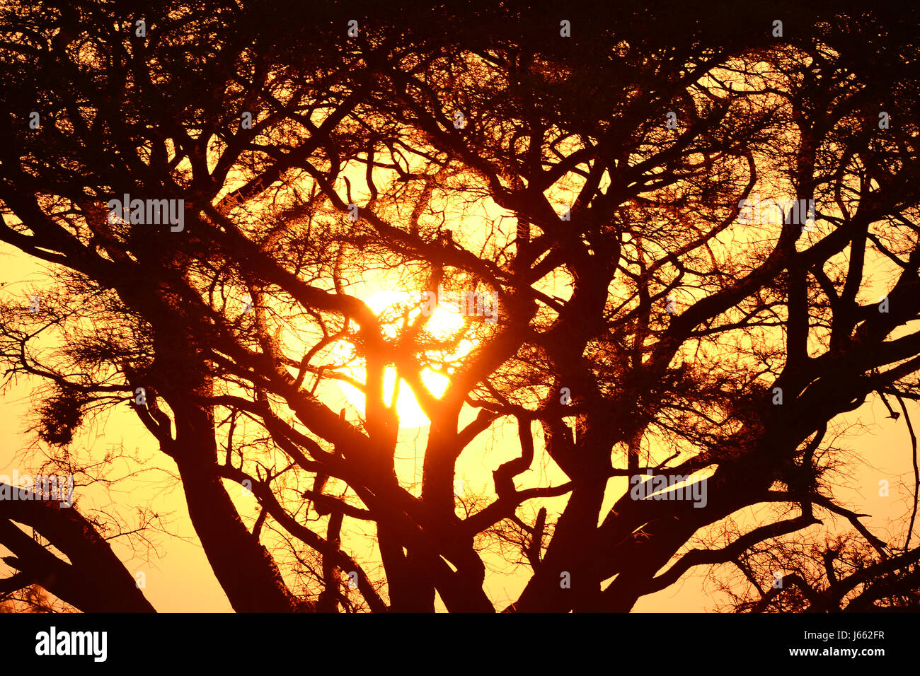 Kenya scenery hi-res stock photography and images - Alamy
