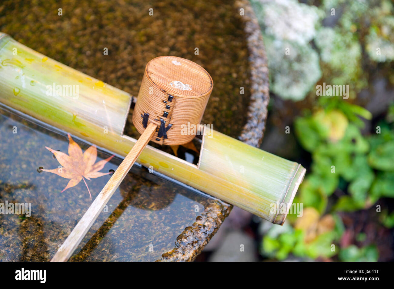 Japanese wooden purification dipper in a chozubachi or water basin used ...