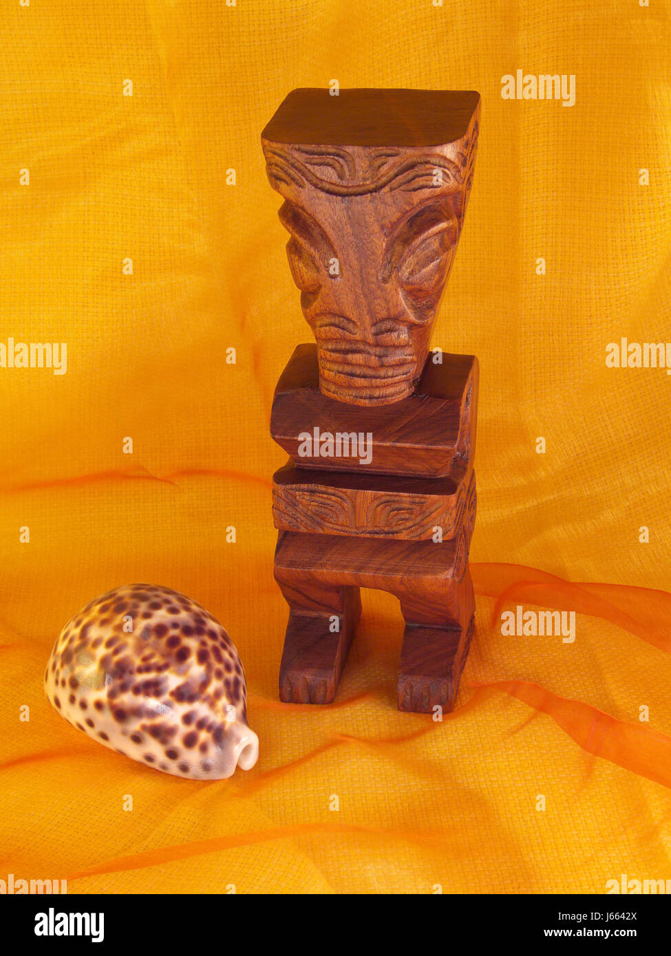 shell salt water sea ocean water shells mussels still life object god ...