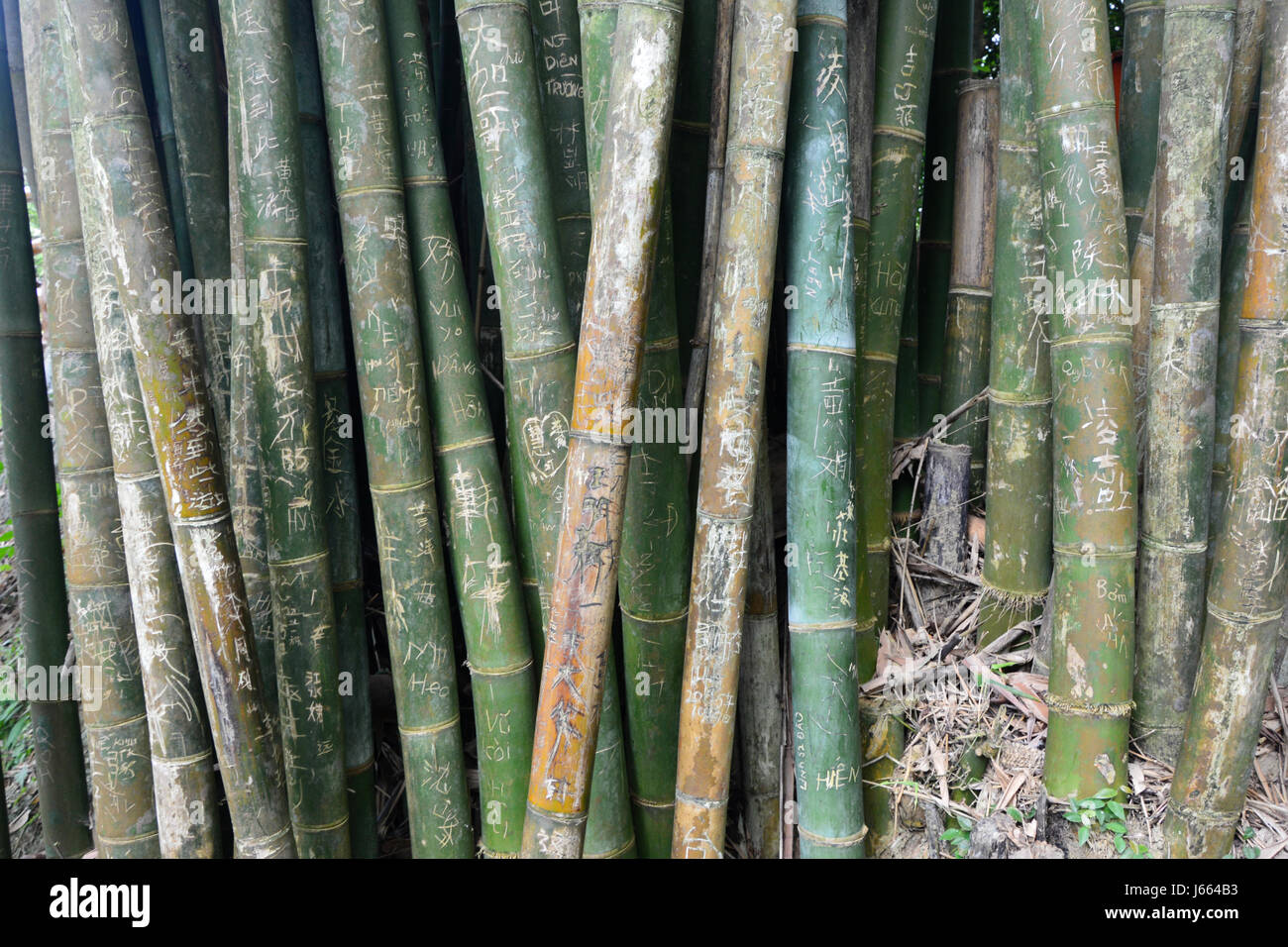 Detian Scenic Area of Chongzuo City,Guangxi Region,China Stock Photo ...