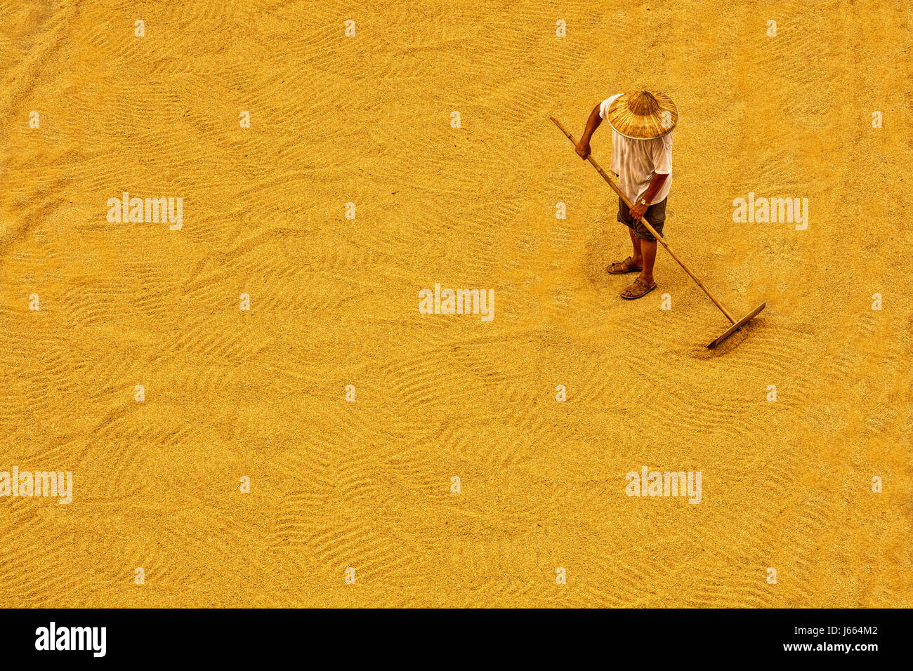 A farmer is drying food Stock Photo - Alamy
