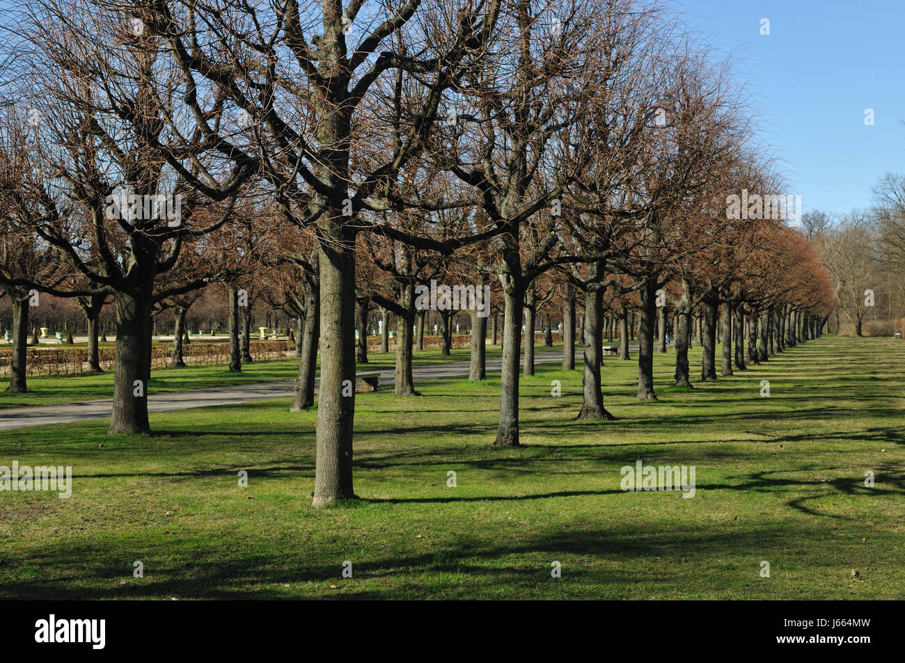 springtime in the park Stock Photo - Alamy