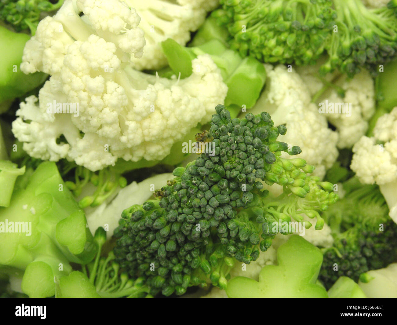cauliflower and broccoli mixed as a background Stock Photo - Alamy