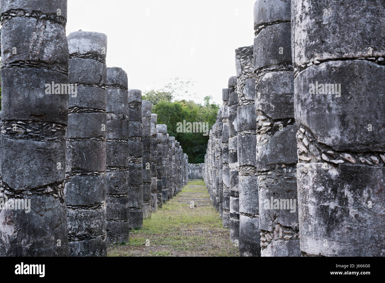 Columns in the Temple of a Thousand Warriors in Chichen Itza ruins ...