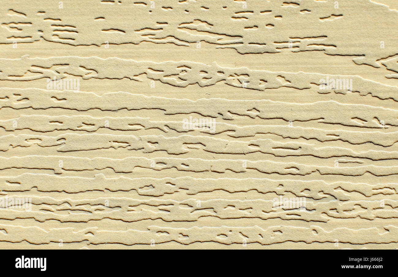 wood abstract backdrop background model design project concept plan ...