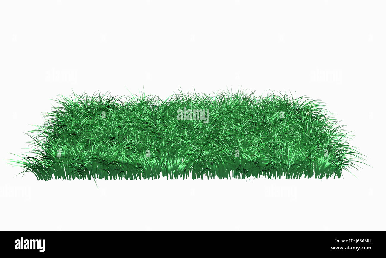 Grasses grass Cut Out Stock Images & Pictures - Alamy