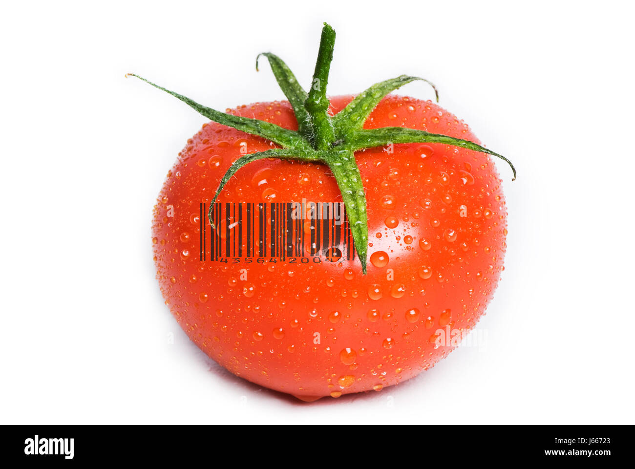 model design project concept plan draft fruit vegetable tomato barcode ...