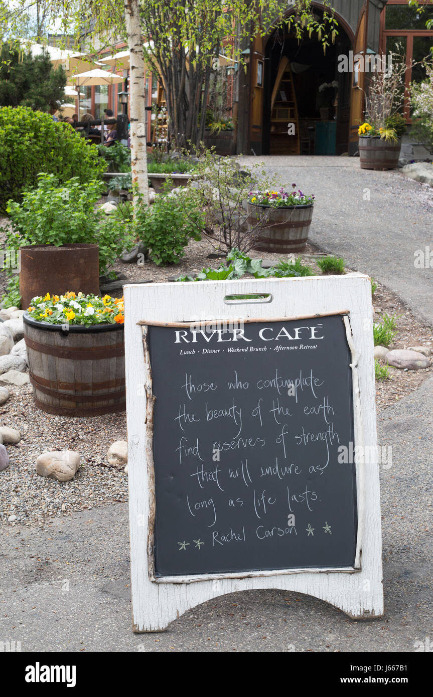 Rachel Carson quote "those who contemplate the beauty of the earth find ...