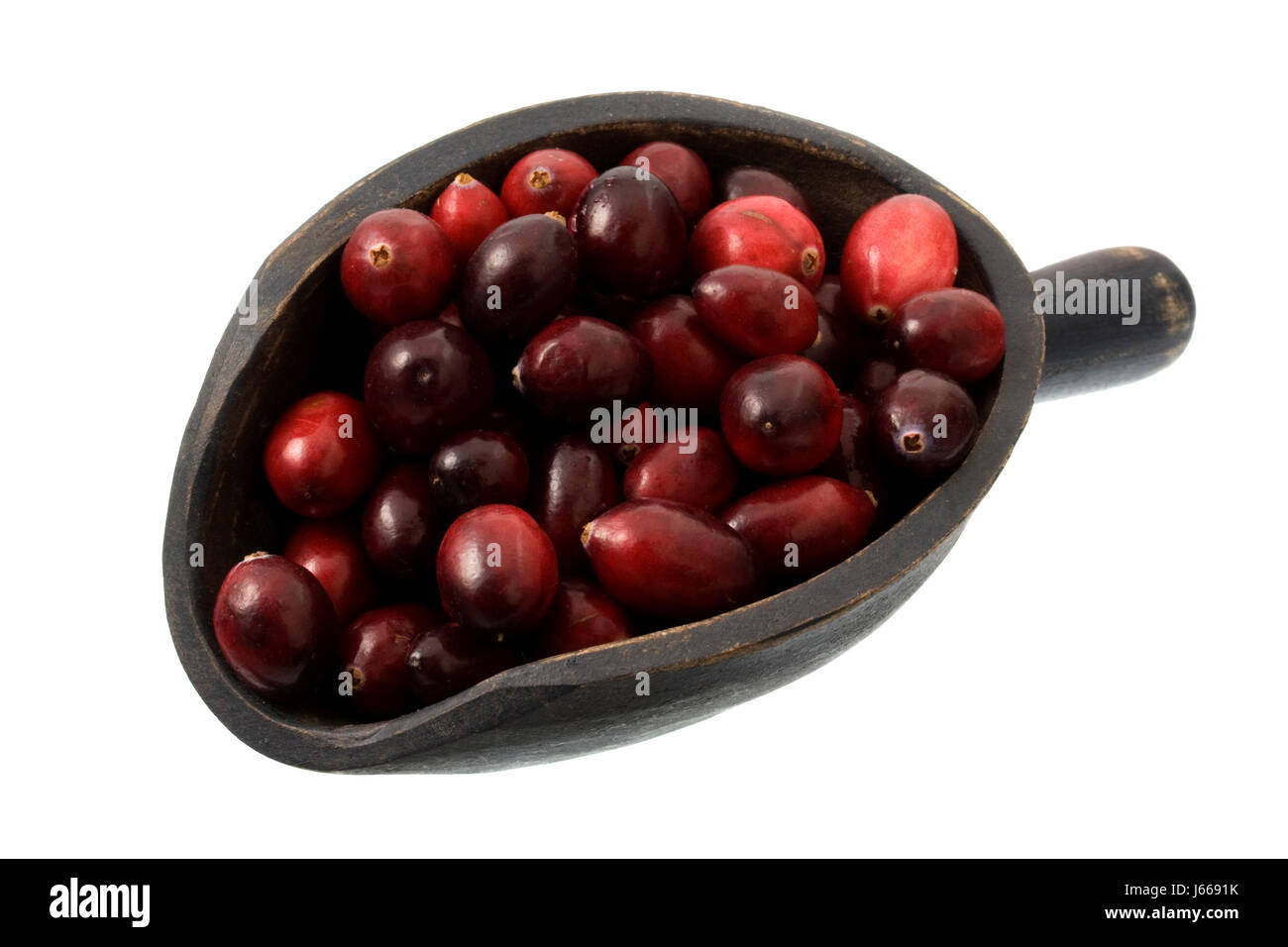 Close up rustic thanksgiving Cut Out Stock Images & Pictures - Alamy