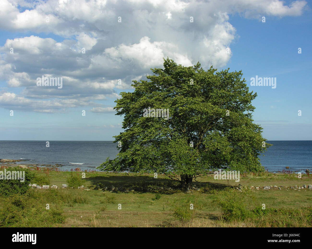 Baltic Sea Simrishamn High Resolution Stock Photography and Images - Alamy