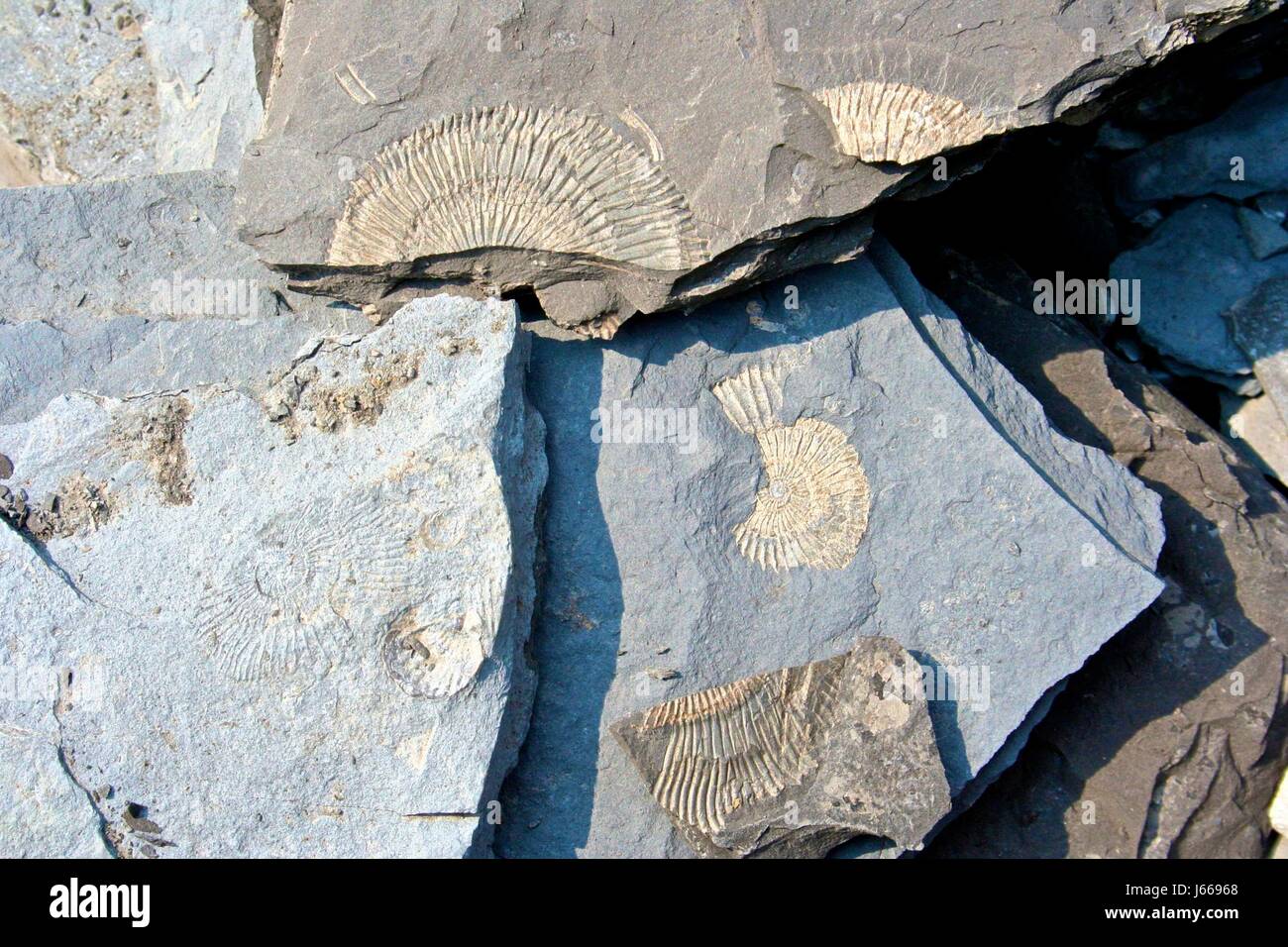 traces of the past Stock Photo - Alamy