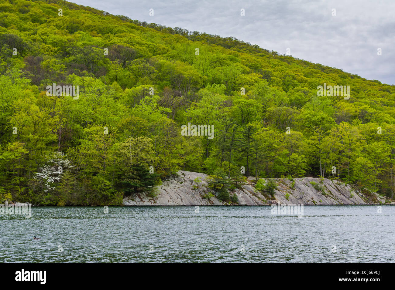 Rocky landscape along Hessian Lake, at Bear Mountain State Park, New ...