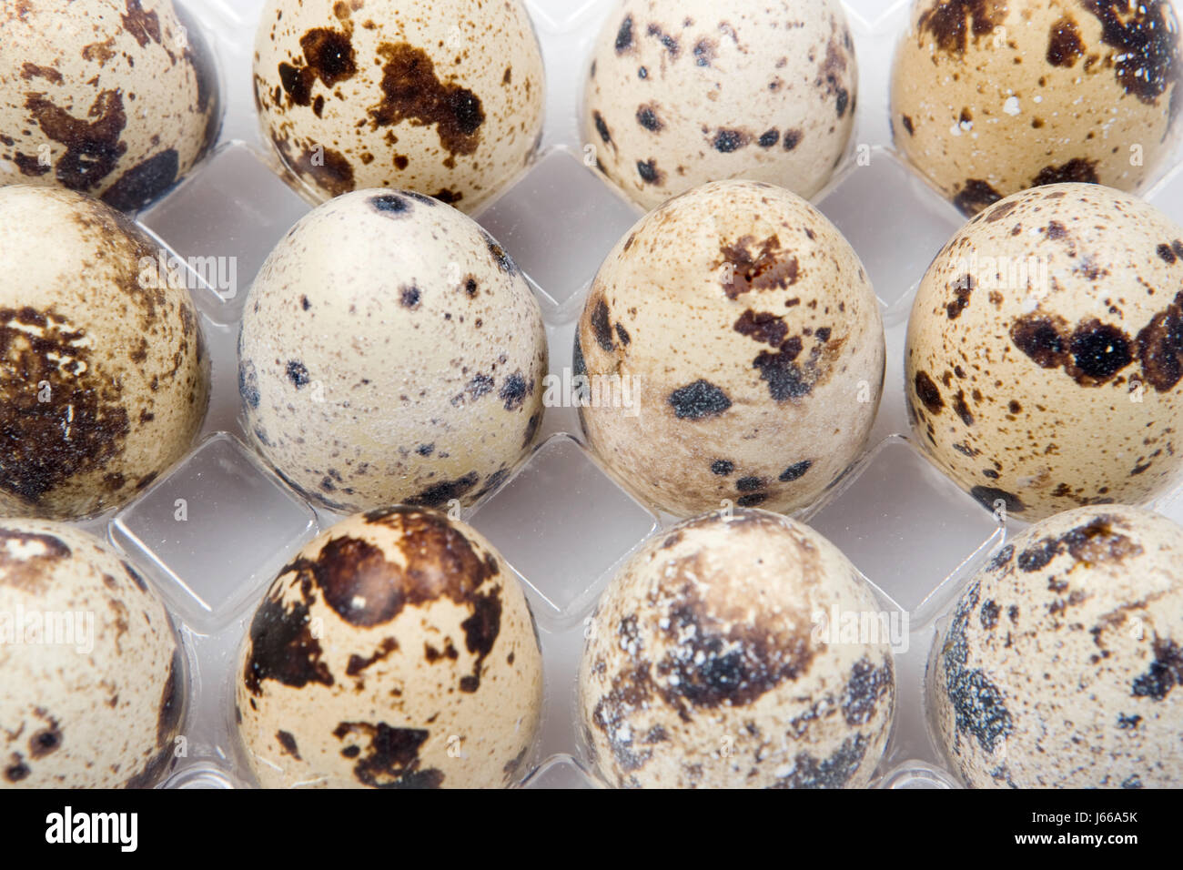 Small round objects hi-res stock photography and images - Alamy