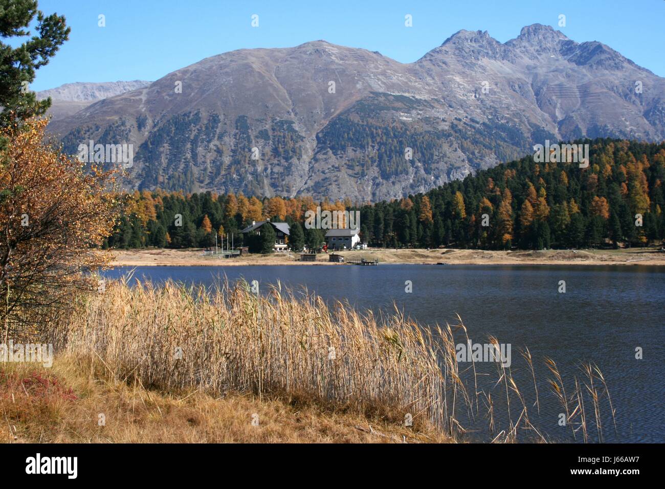 lej da staz Stock Photo - Alamy