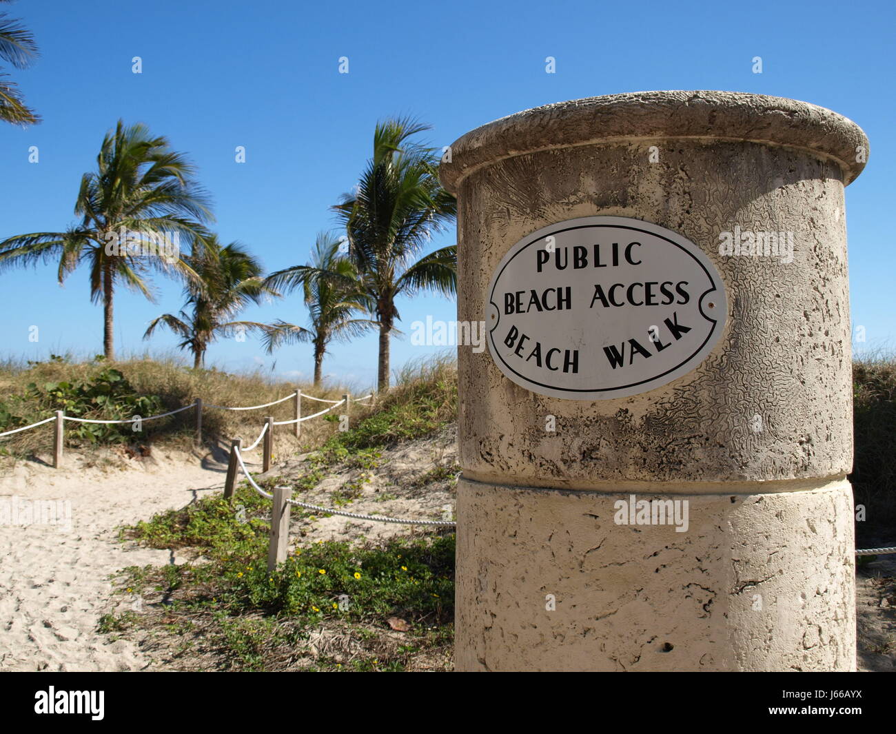 beach seaside the beach seashore pillar palm tree dune atlantic ocean ...