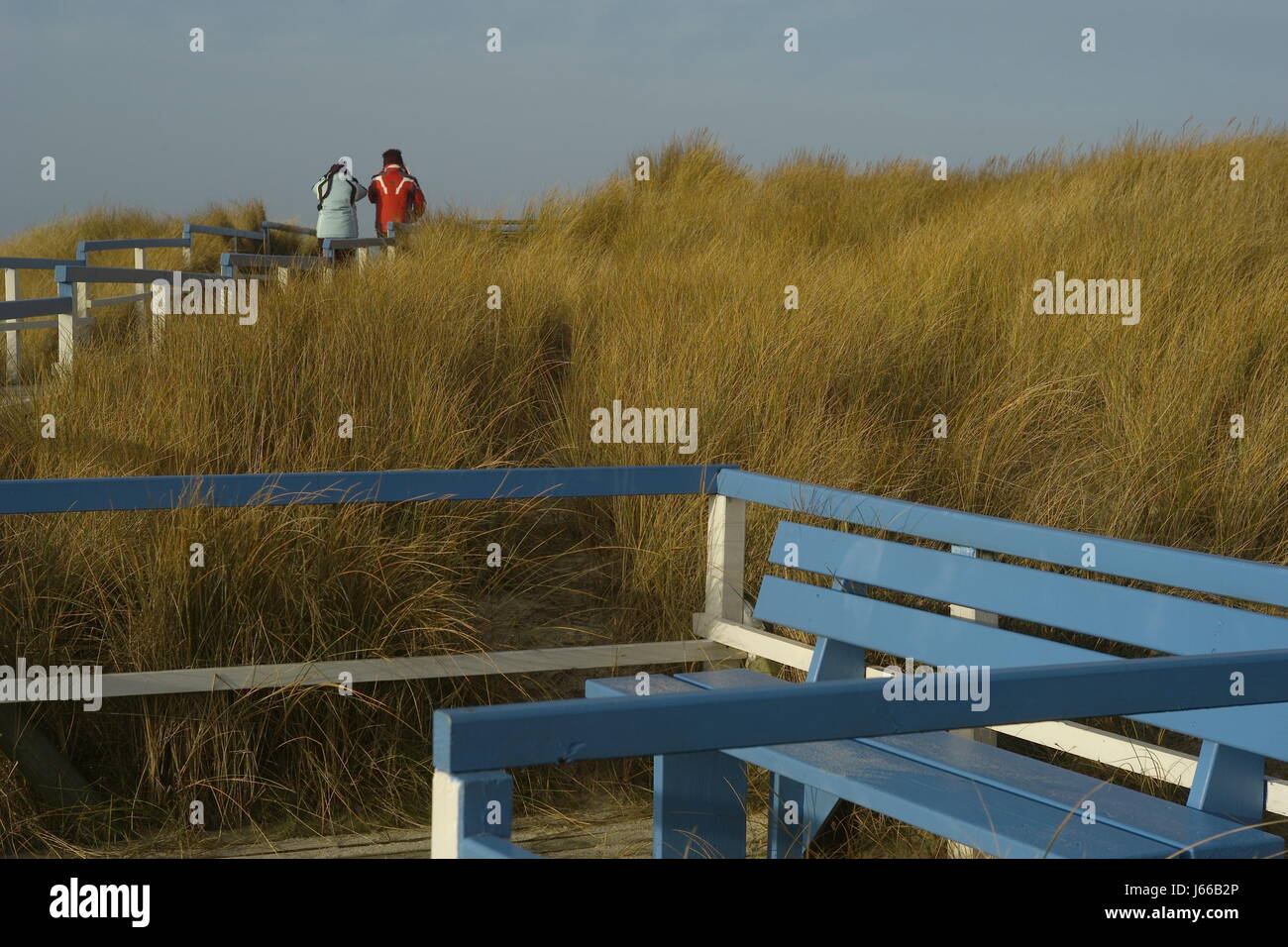 winter cold water north sea salt water sea ocean dunes walk blue humans ...