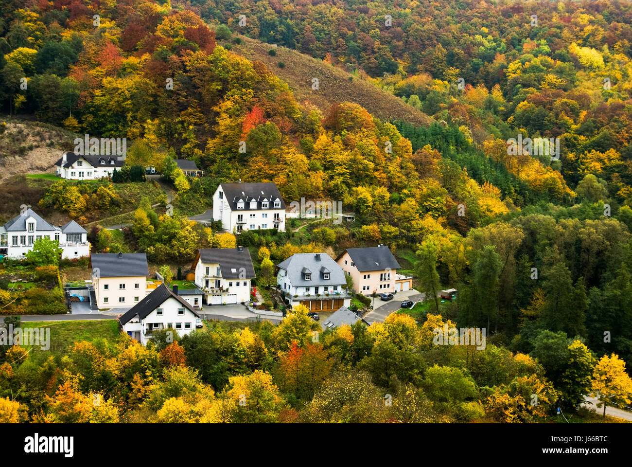 tree trees germany german federal republic season landscape scenery ...