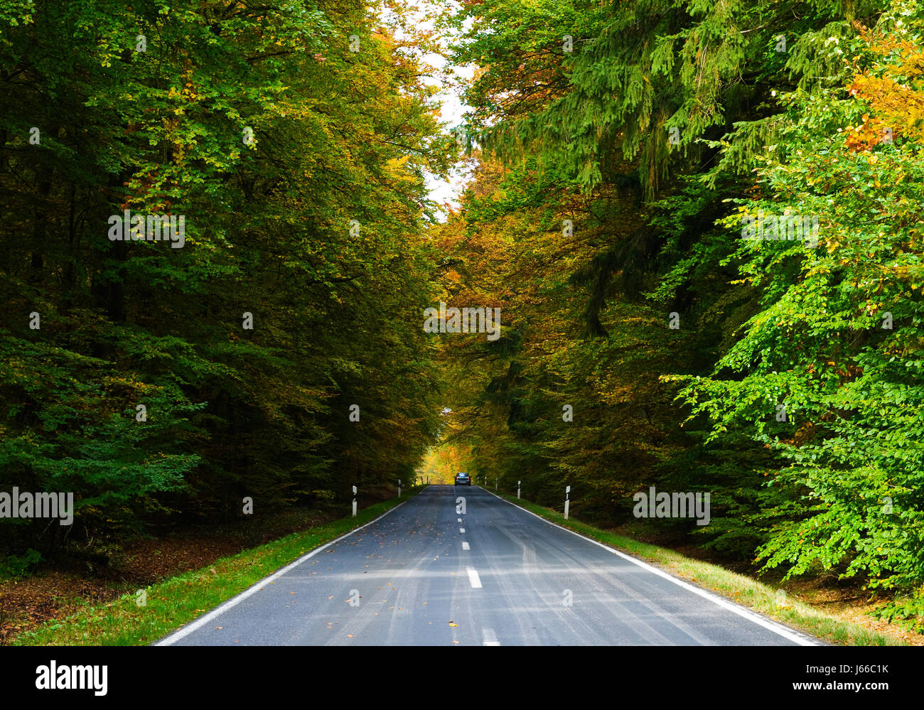 travel tree trees traffic transportation germany german federal ...