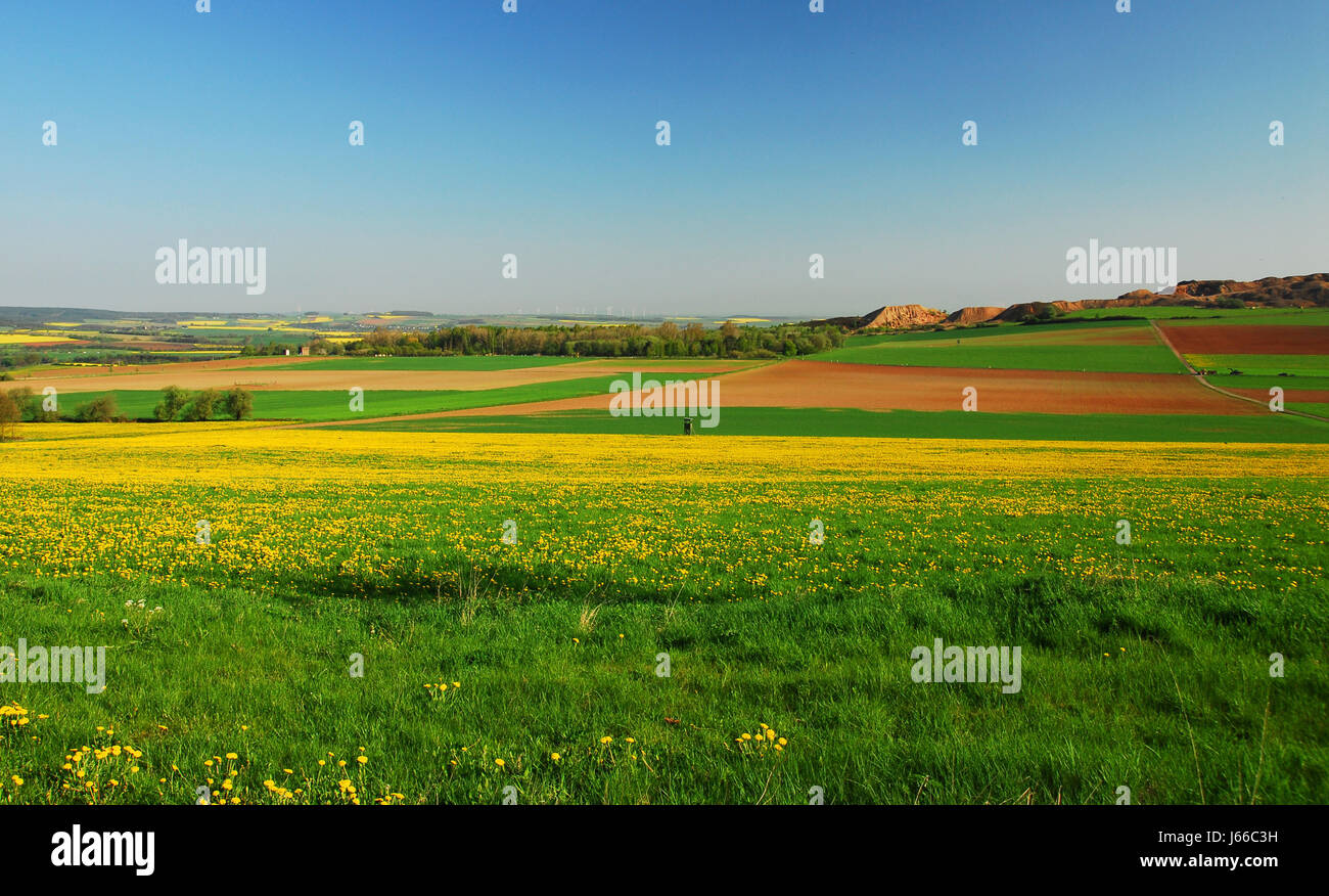 spring fields meadows sight view outlook perspective vista panorama ...