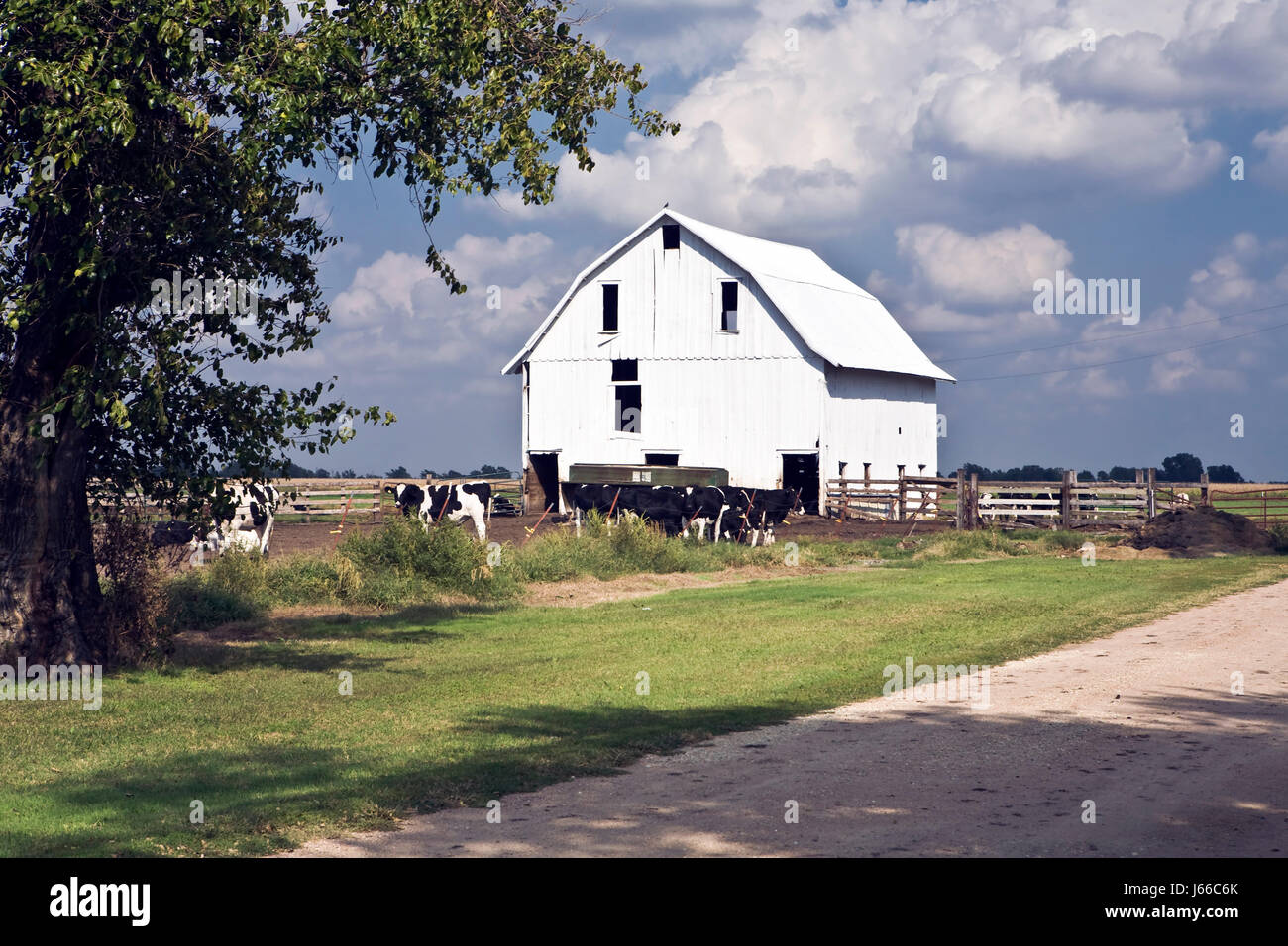 blue cloud barn farm cattle rural firmament sky peasant animals ...