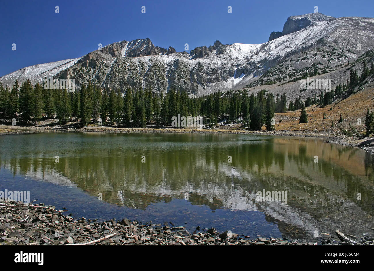 stella lake at wheeler peak Stock Photo - Alamy