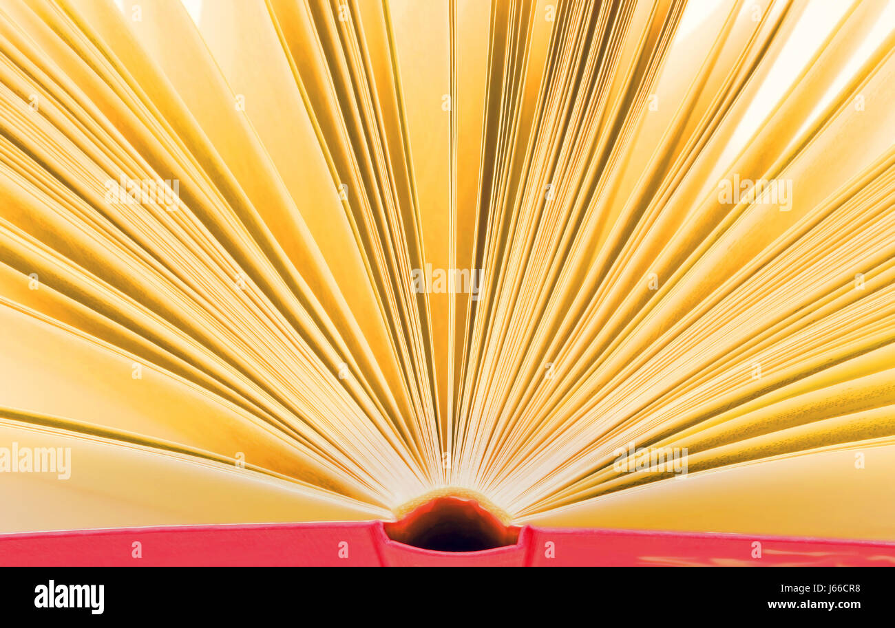 illustration open abstract uncap book backdrop background pages sides ...