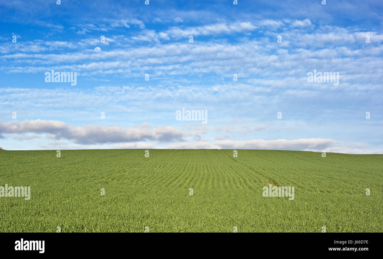 field country paddock rural meadow lawn green peasant agriculture ...