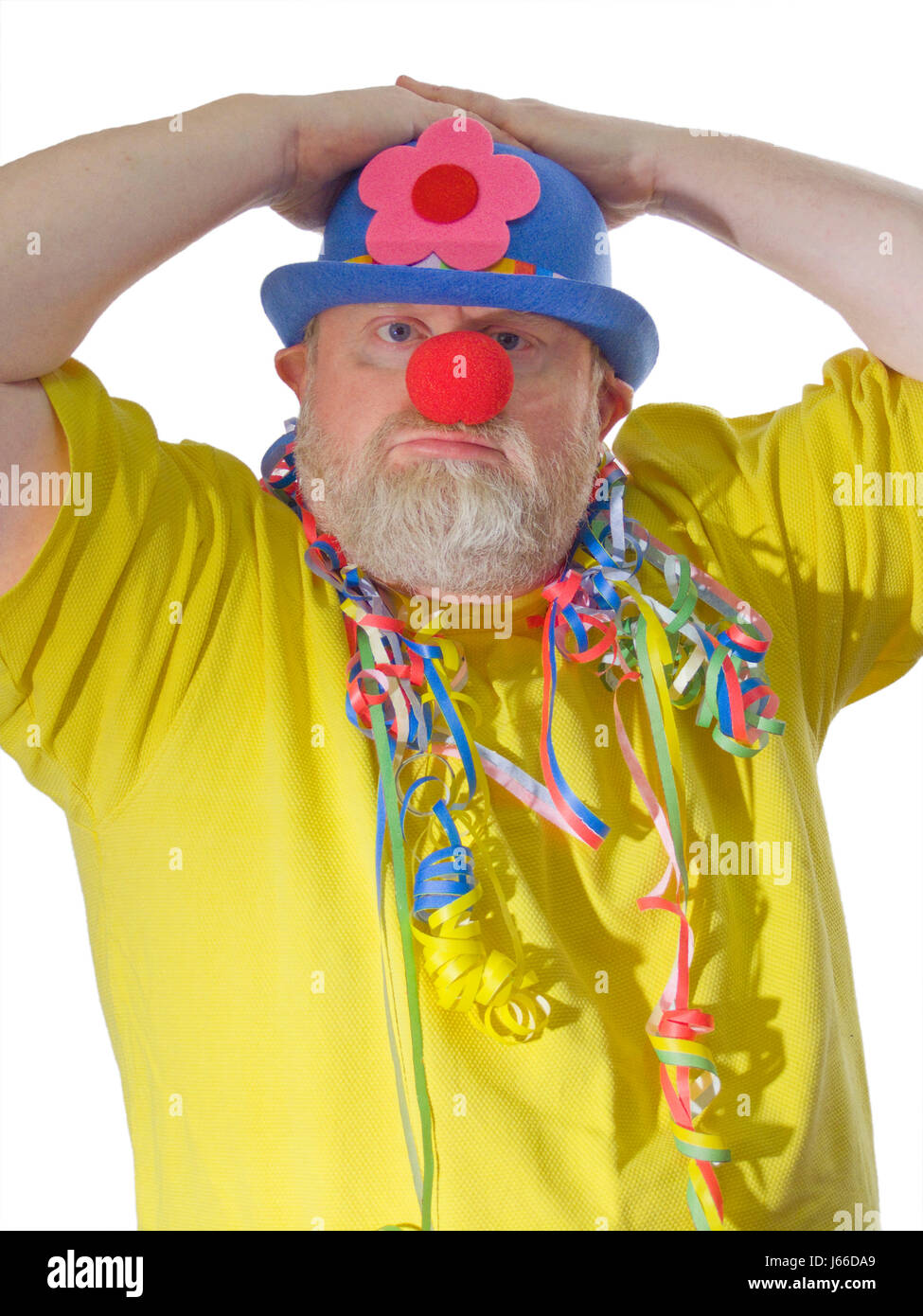 hat clown jester cardboard nose blue entertainment humour coloured ...