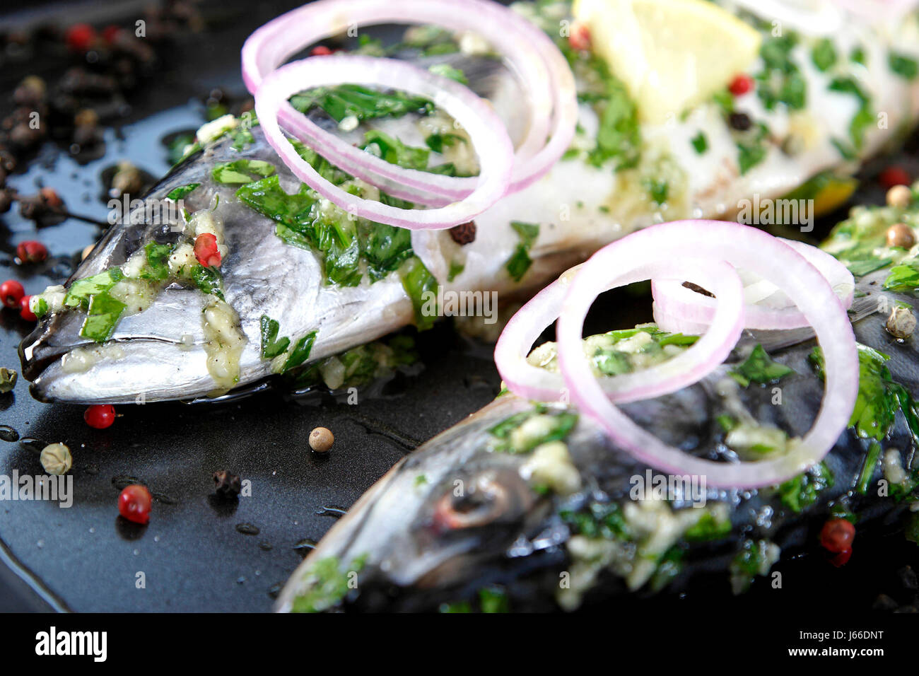 food aliment fish boil cooks boiling cooking trout grill barbecue ...