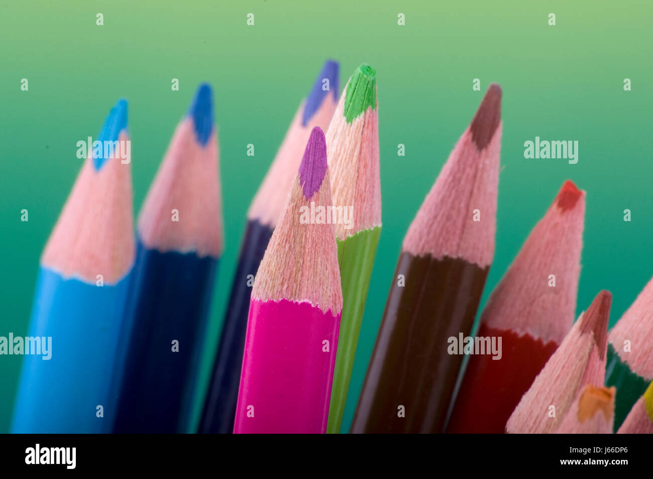 coloured progression colored pencils school educational institution ...