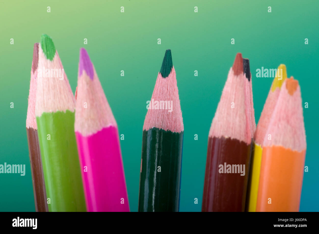 coloured progression colored pencils school educational institution ...